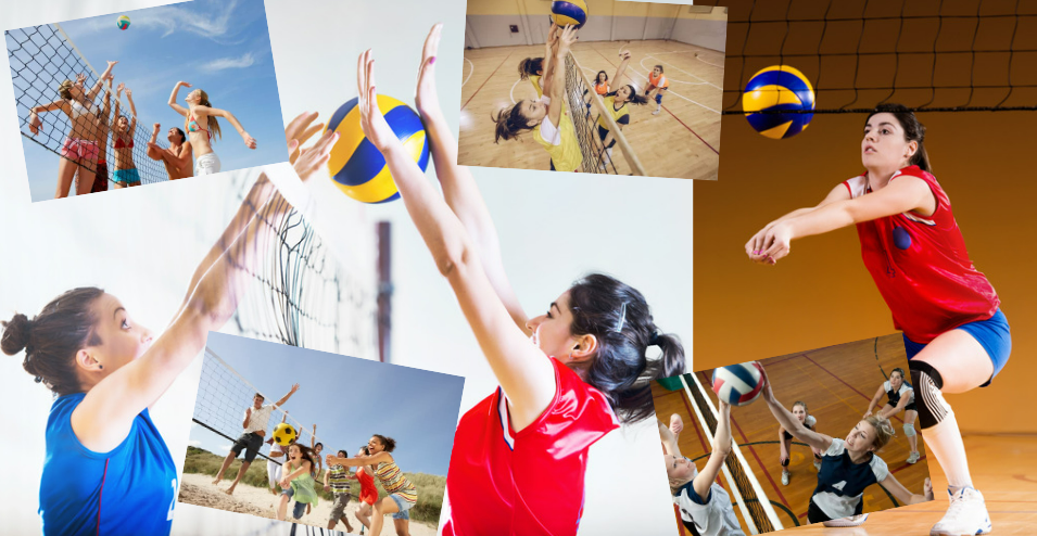 Best Volleyball Exercises: 5 Intricacies for Killer Moves!